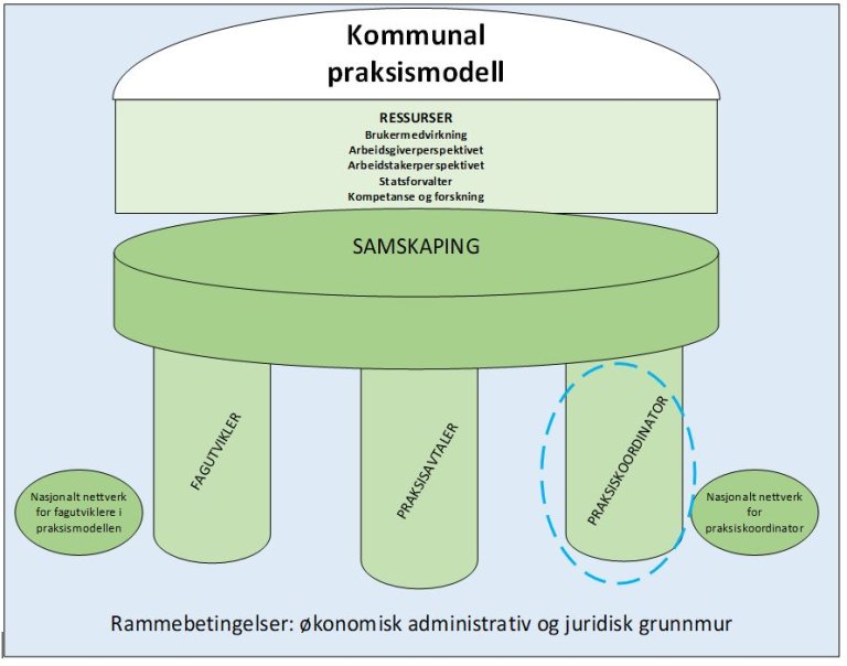 Praksiskoordinator - Helsedirektoratet